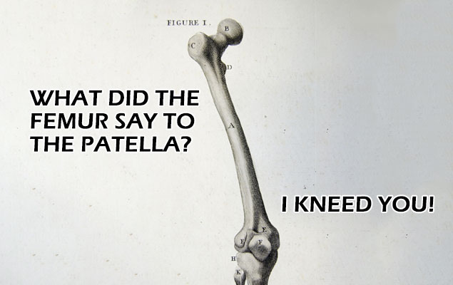 Funny Science Jokes: Laughs for Scientists