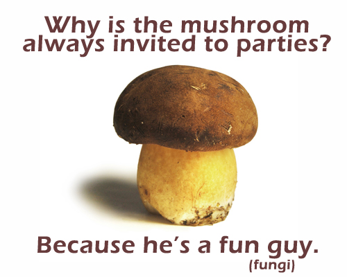 Funny Science Jokes: Laughs for Scientists