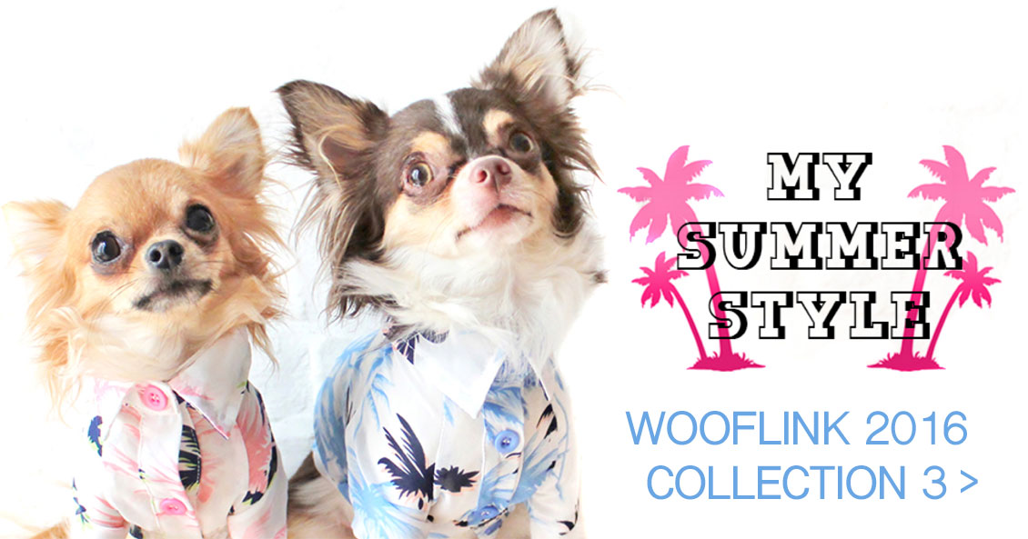 Dog Clothes | Dog Accessories | FunnyFur