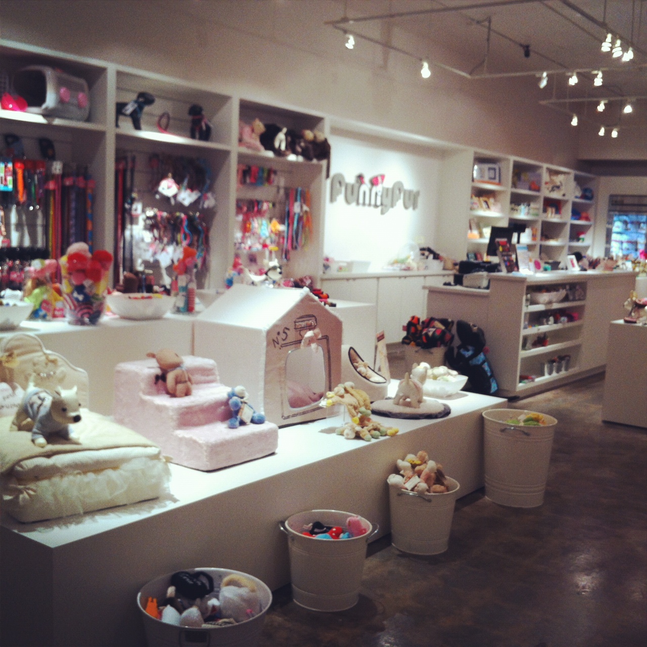 Dog Boutique For Fashion Forward Urban Pets Dog Boutique For Fashion Forward Urban Pets