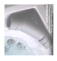 SInce 1994 Sundance Spa Pillows & Headrests Replacements