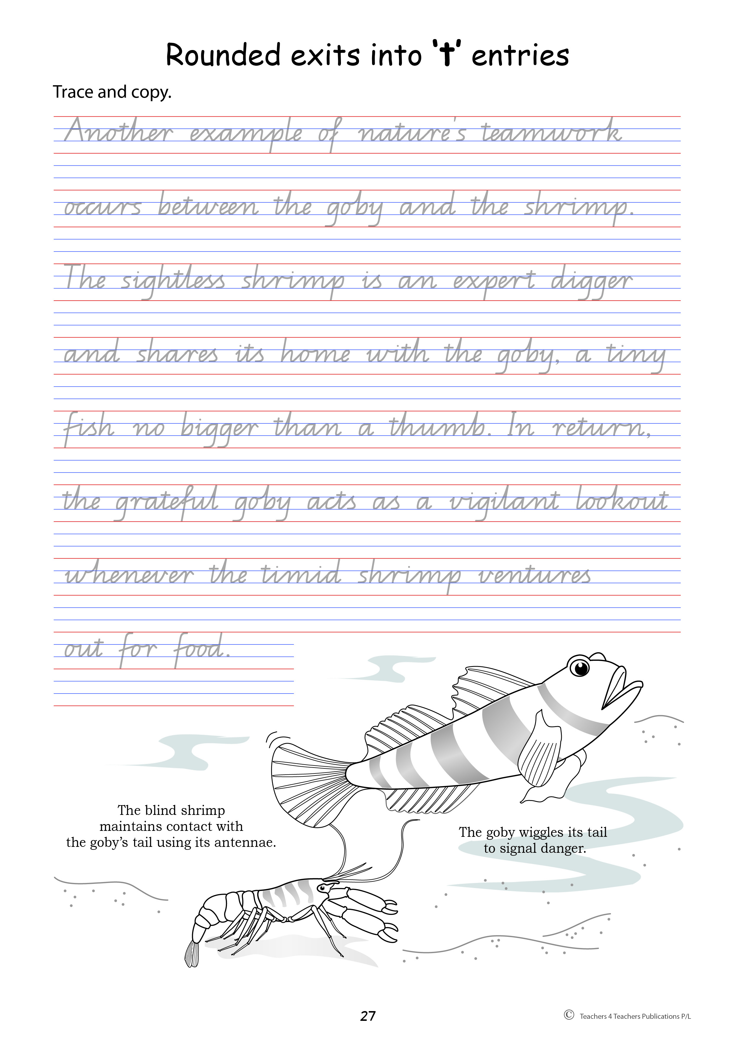 Handwriting Conventions Queensland Teachers 4 Teachers Publications Handwriting Conventions Queensland Teachers 4 Teachers Publications