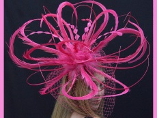 Berkeley Hat Company