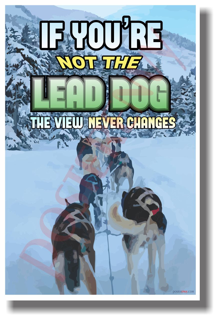If You're Not The Lead Dog The View Never Changes - NEW Classroom ...