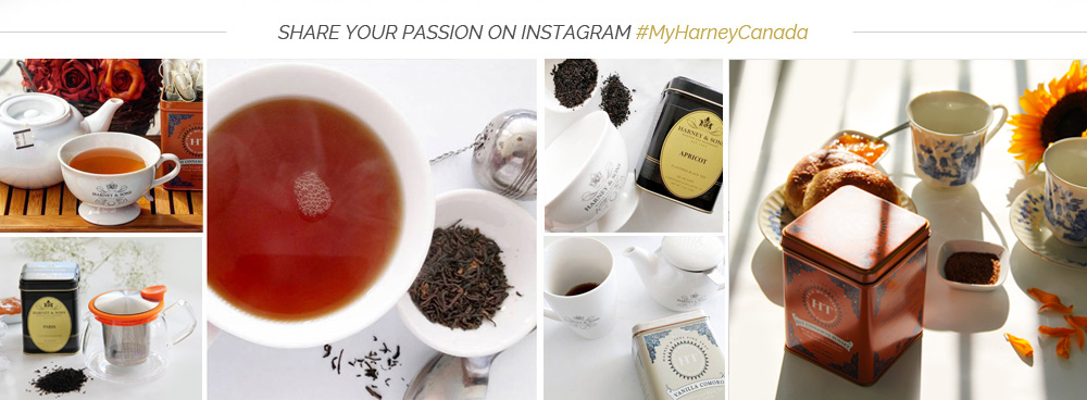 Harney & Sons Teas Canada | Buy Premium Teas Online