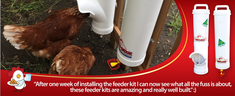 Chicken Feeders - Exclusive Poultry Feeders and Drinkers