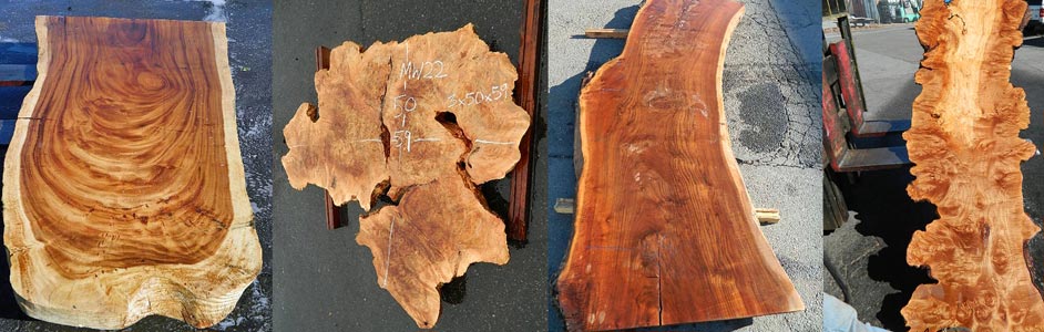Global Wood Source,Exotic Wood Source, Campbell, Ca..