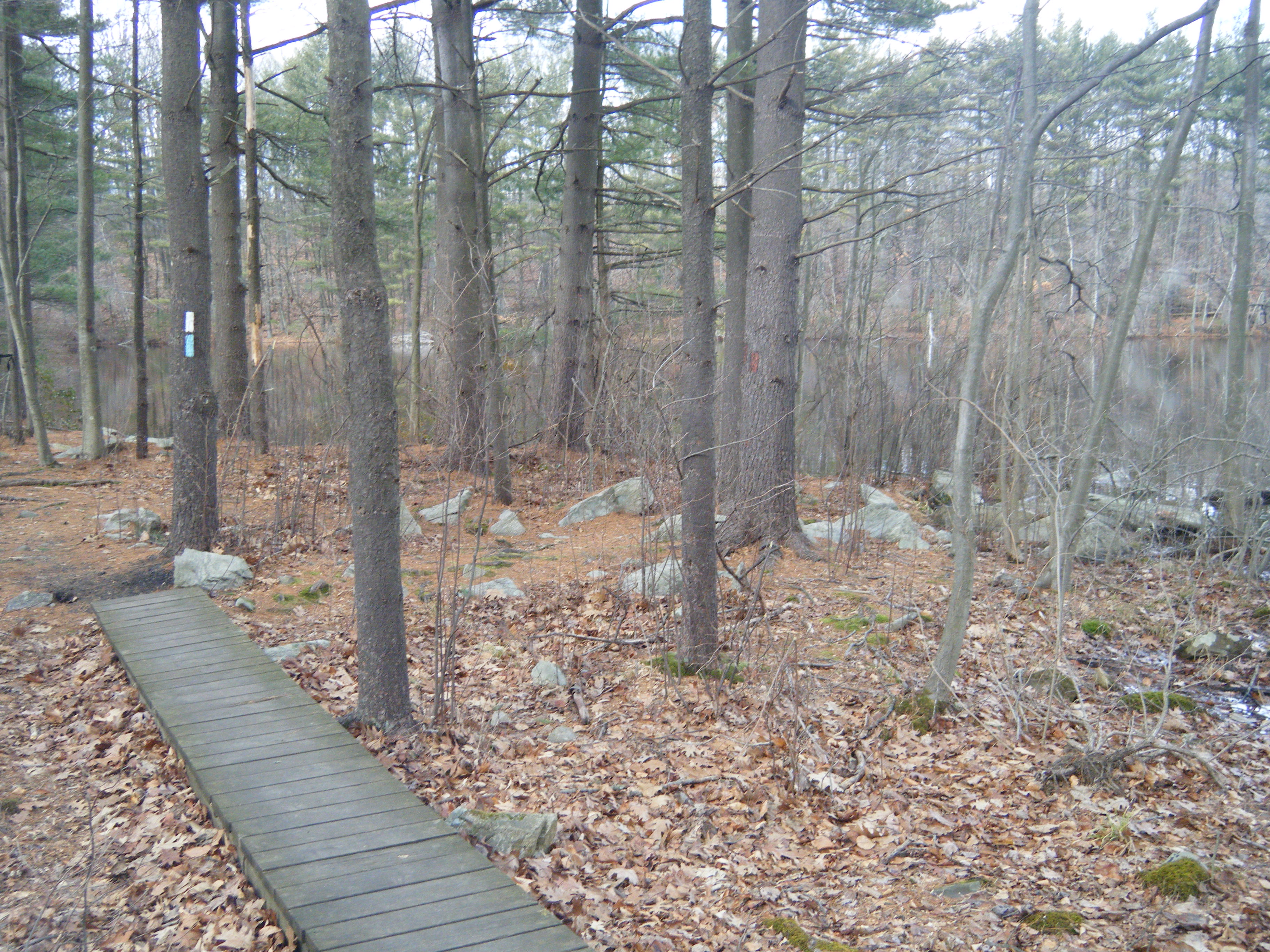Hiking Trails in CT | CT Hiking
