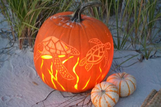 Coastal Pumpkin Roundup! - Caron's Beach House