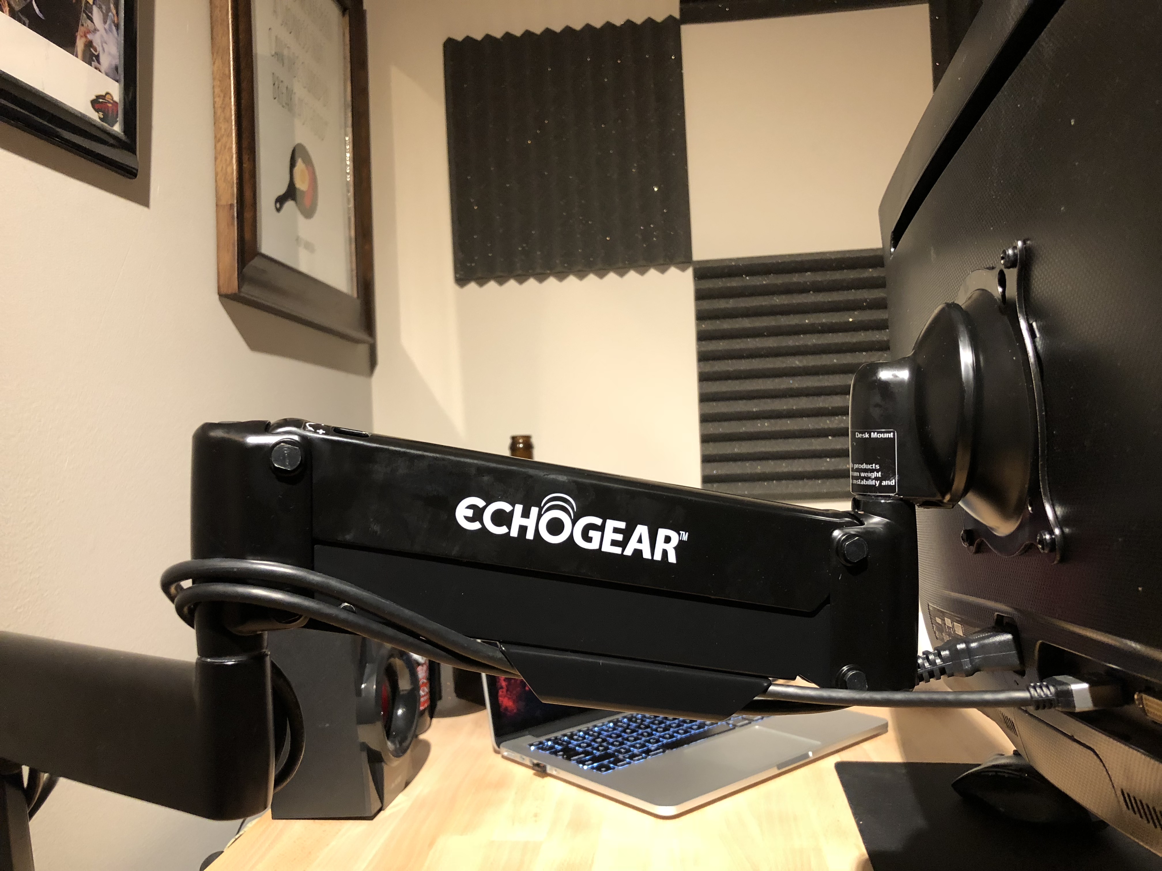 Best PC Gaming Accessory: Monitor Mounts - ECHOGEAR