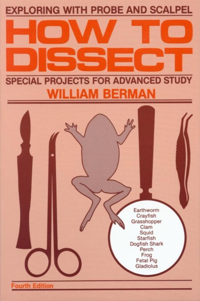 How To Dissect William Berman Complete Dissection Guide how-to-dissect-william-berman-complete-dissection-guide