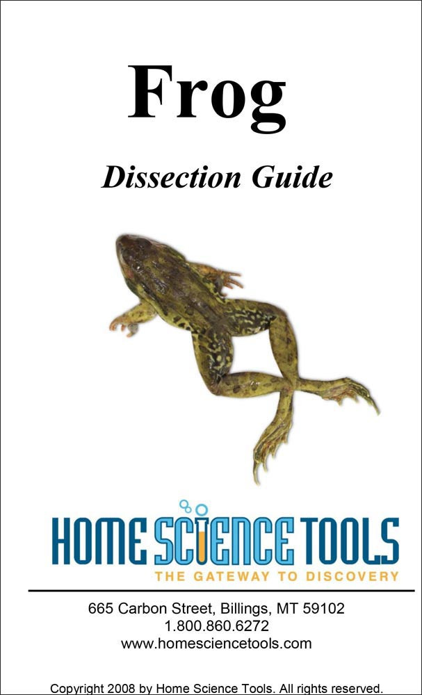 Frog Dissection Guide Frog Dissection Guide