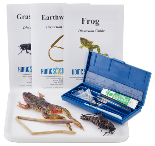 Introductory Dissection Kit | Specimens, Tools, Guides