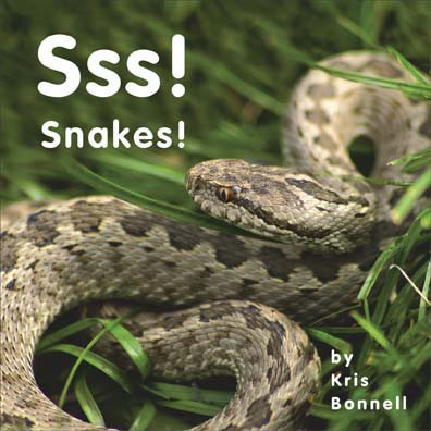 Sss! Snakes - Level C/2 - RR Books