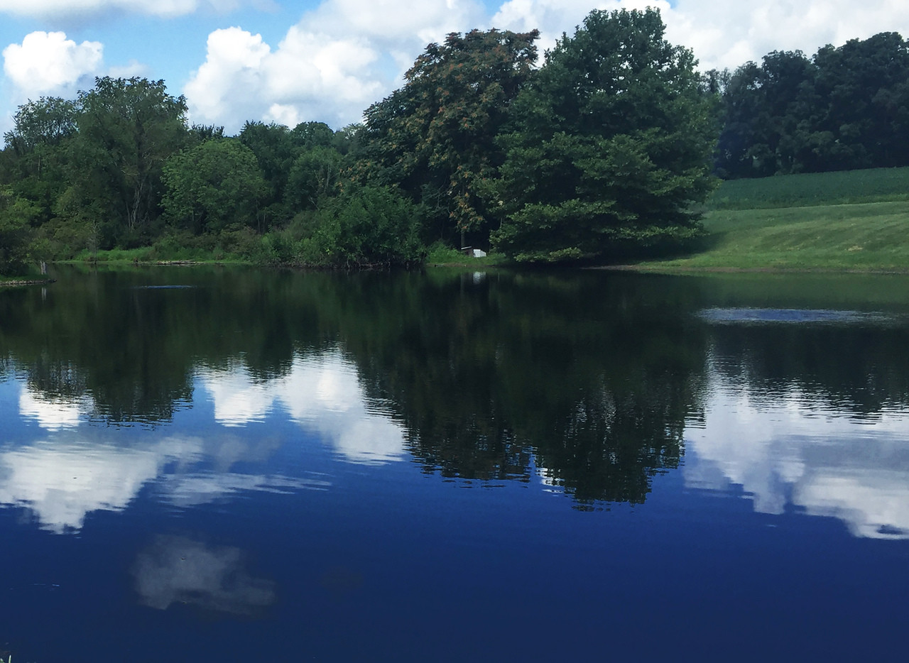 Midnight Blue Pond Dye Packets 80 WSP